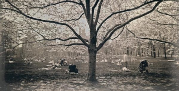 Spagnoli: Contemporary Daguerreotypes and Local Stories | Art Intersection