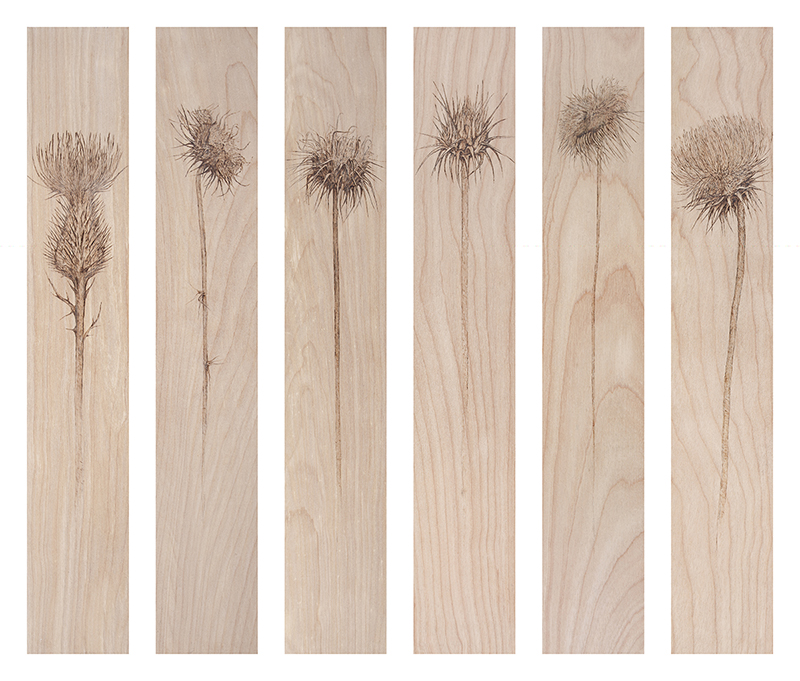 Imprint – Alexandra Bowers • Mary Meyer | Art Intersection