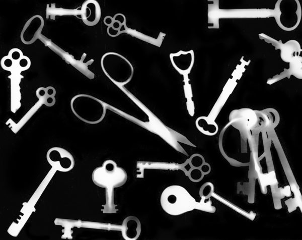 Photogram Zine Workshop and Volume III Release Party Presented by Femme ...