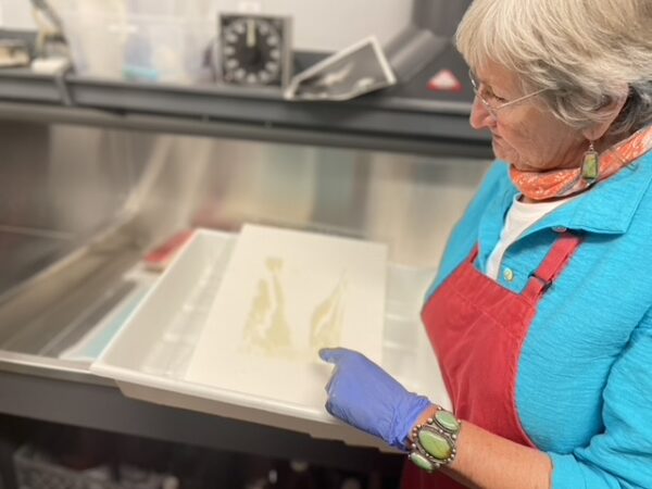 Mordançage Workshop with Elizabeth Opalenik – July 2022 | Art Intersection