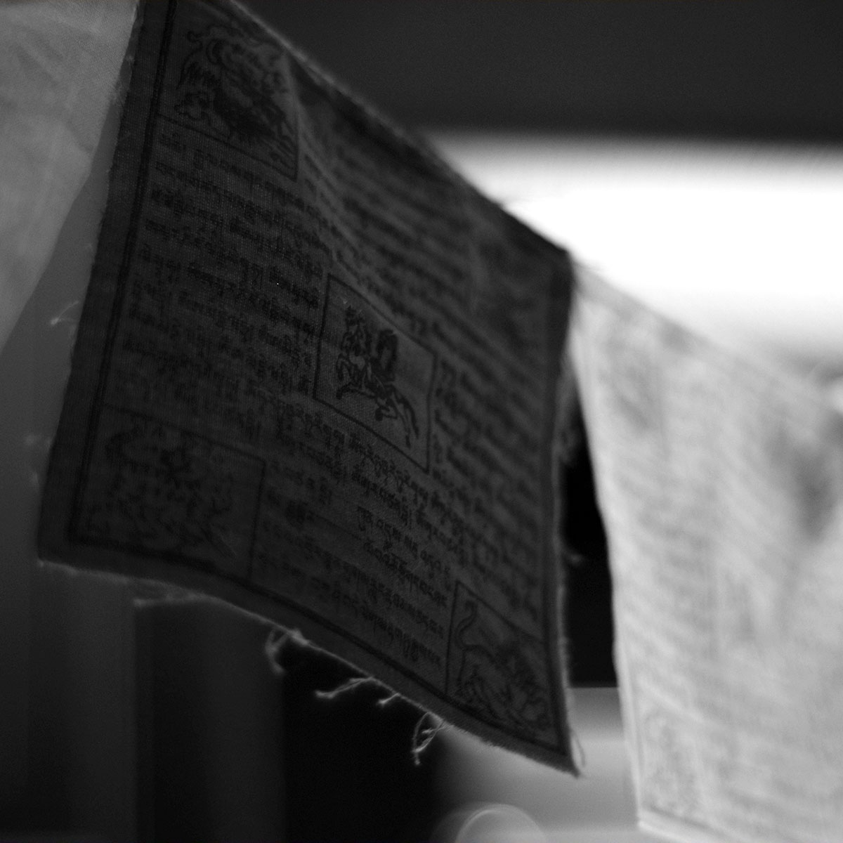 Pinhole Photography in Downtown Gilbert | Art Intersection